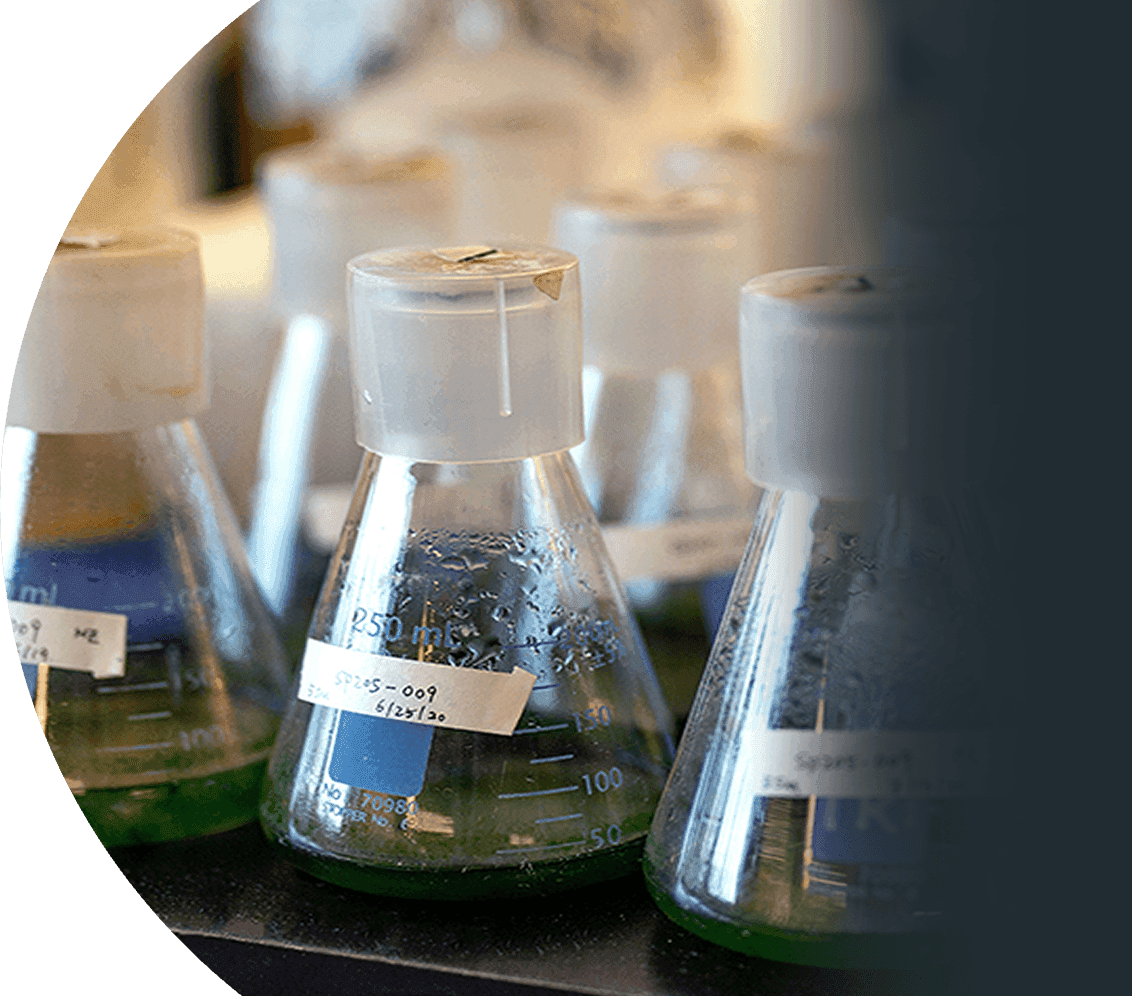 About Lumen Bioscience | Reinventing Biologic Drugs