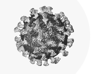 Innovative Biotech Science | Lumen Bioscience