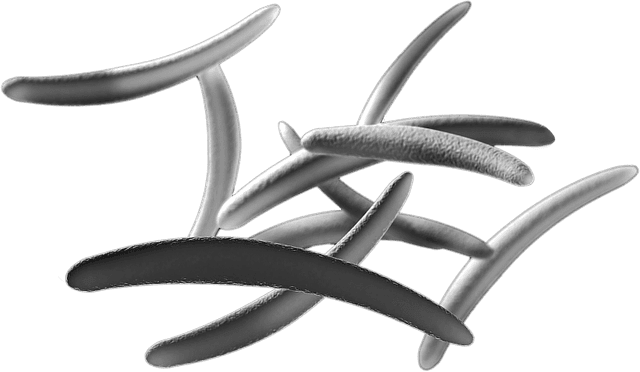 Innovative Biotech Science | Lumen Bioscience